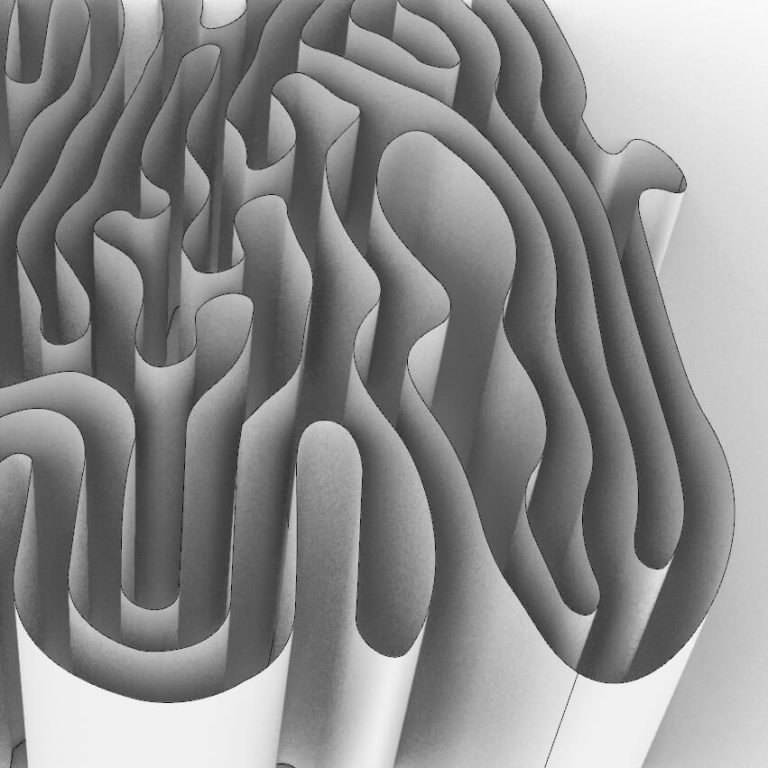 Stereome, faviina, impression 3D coquille et algue avec hors studio